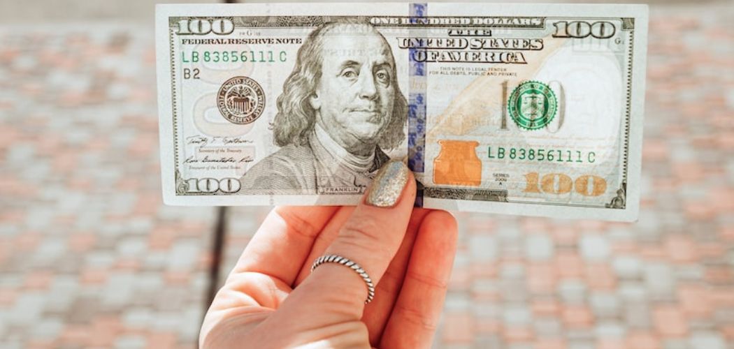 How To Make 100 Dollars In One Day | Vestlo